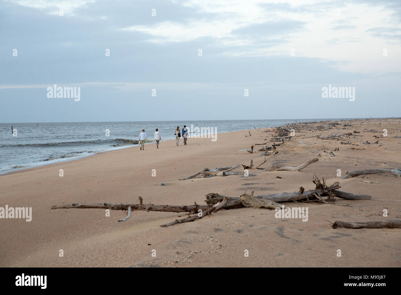 Walkers on the shoreline of Matapica beach, Suriname, South America ...