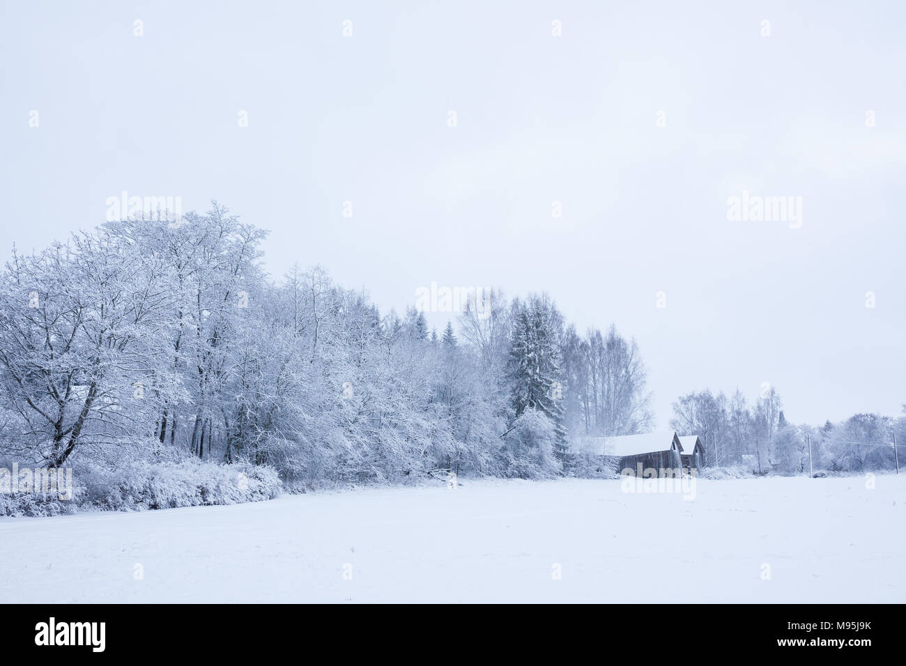Overcast outdoor landscape hi-res stock photography and images - Alamy