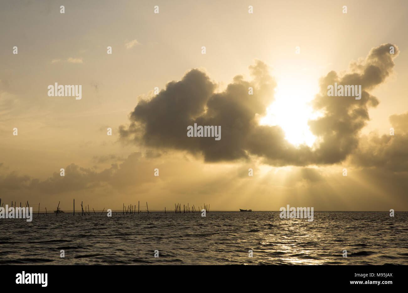 Suriname river atlantic ocean hi-res stock photography and images - Alamy