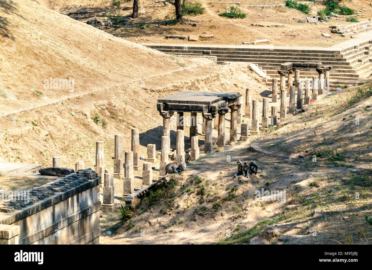Sahasralinga Talav, a medieval artificial water tank in Patan - Gujarat ...