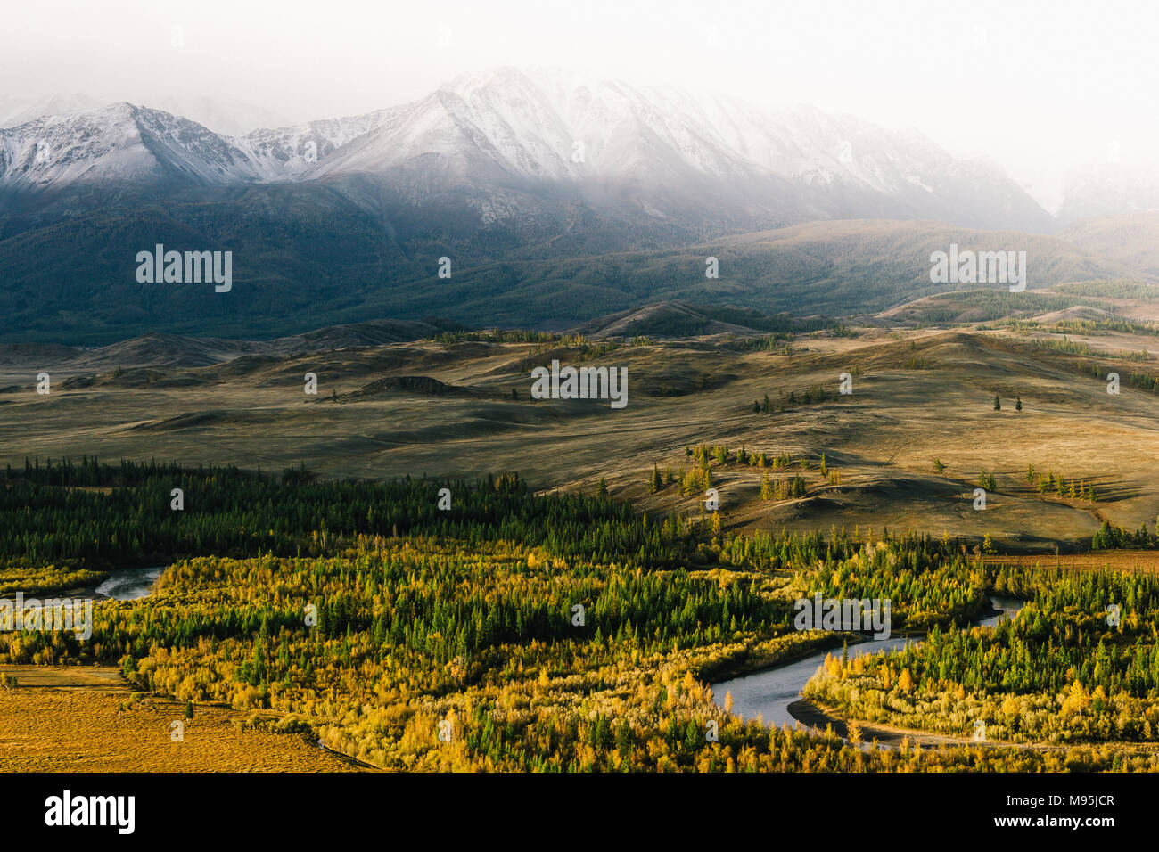 The curves of the ribbon of the river in a mountain valley. Beautiful ...