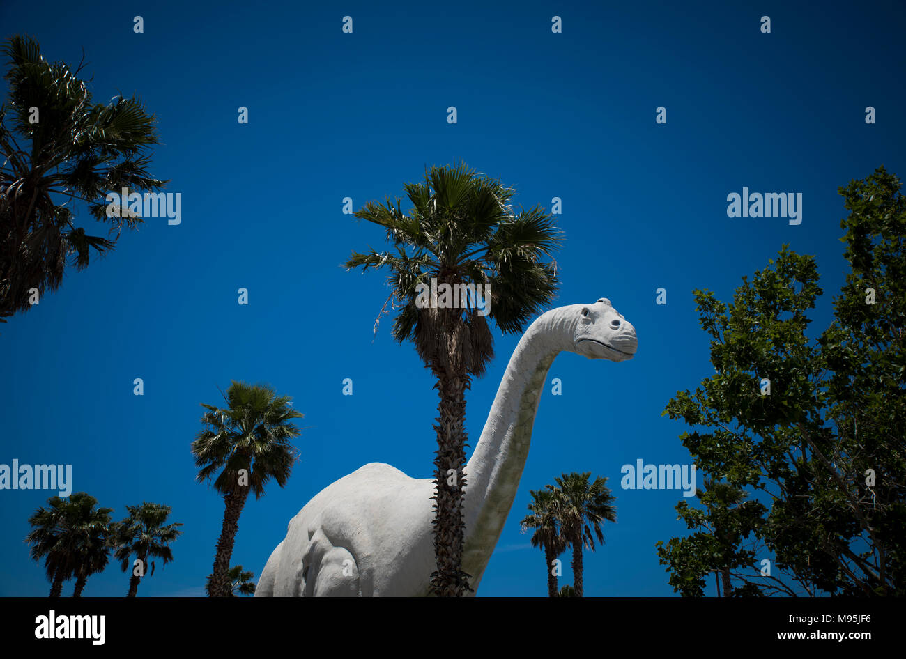 Horizontal brontosaurus hi-res stock photography and images - Alamy