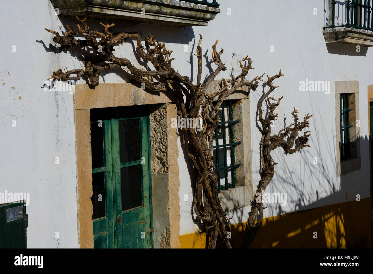 Tree branches over an old house facade. Obidos, Portugal Stock Photo ...