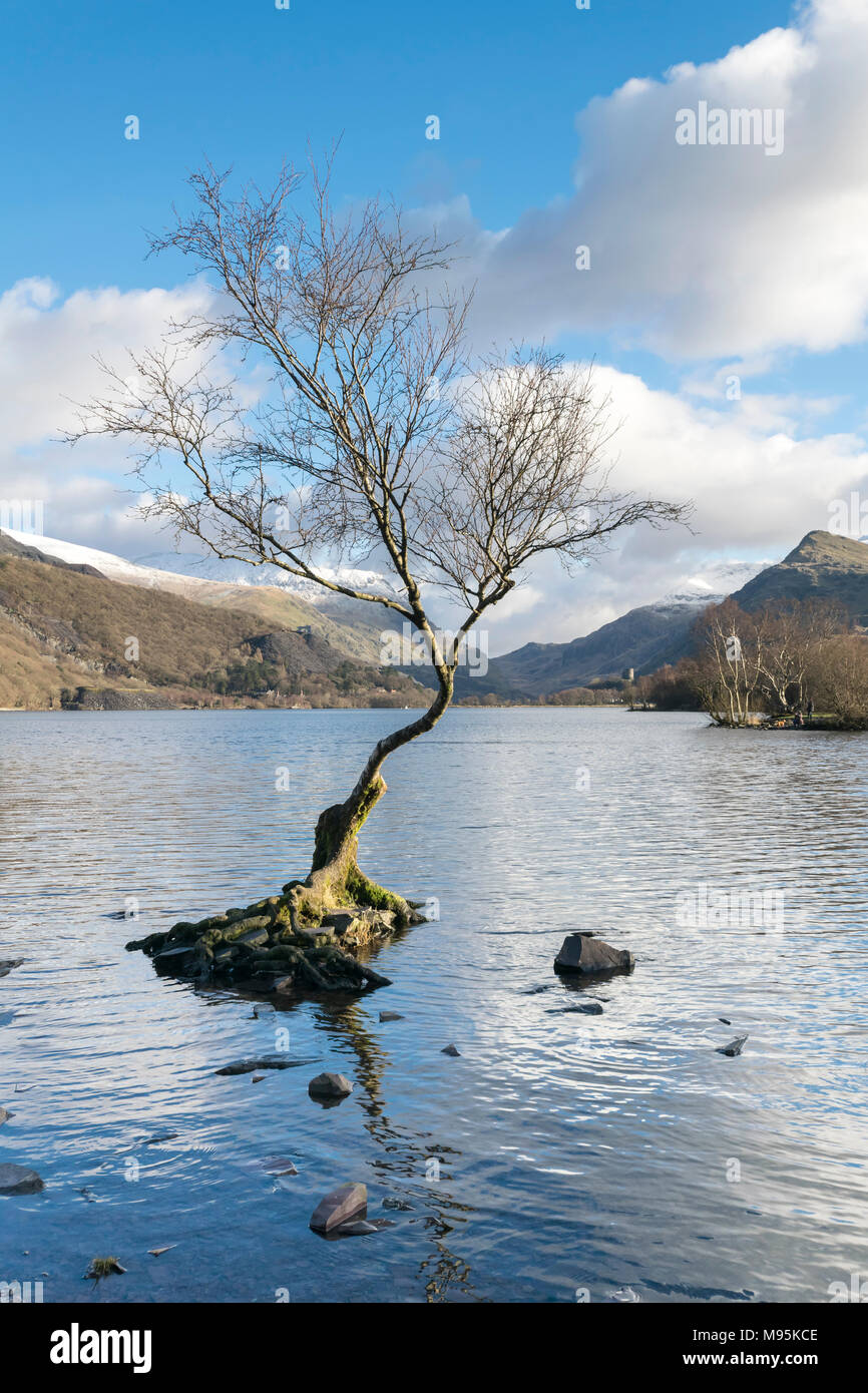 Llyn Padarn near Llanberis in Snowdonia National Park North Wales ...