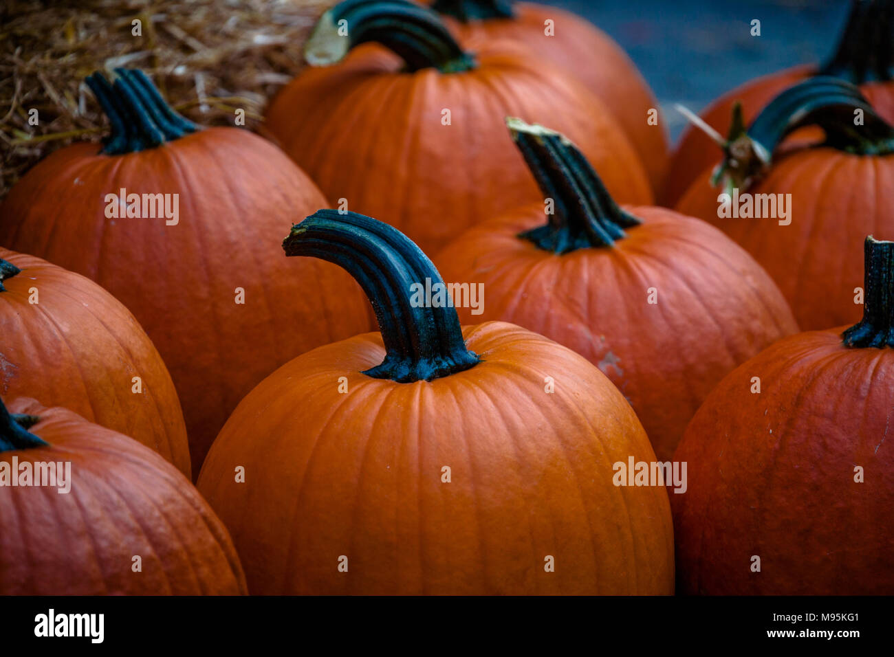 Preparation fall winter season hi-res stock photography and images - Alamy