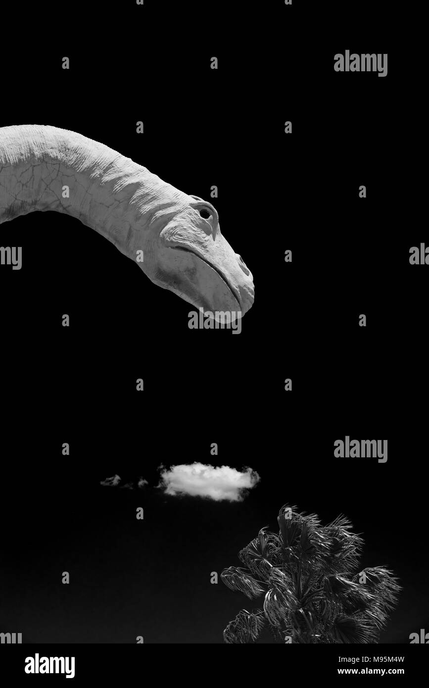 Dinosaur diorama hi-res stock photography and images - Alamy