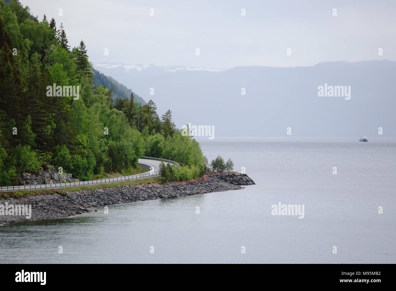 View on Tinnsja lake and forest at nasty summer day Stock Photo - Alamy