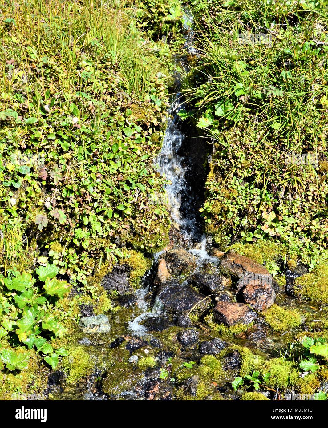 Micro waterfall hi-res stock photography and images - Alamy