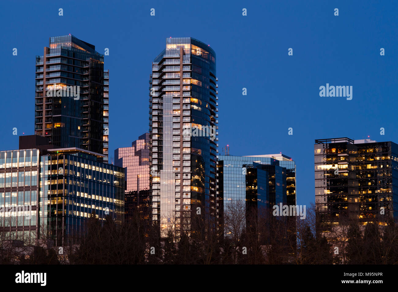 Bellevue Skyline with city lights from downtown park at twilight Stock ...