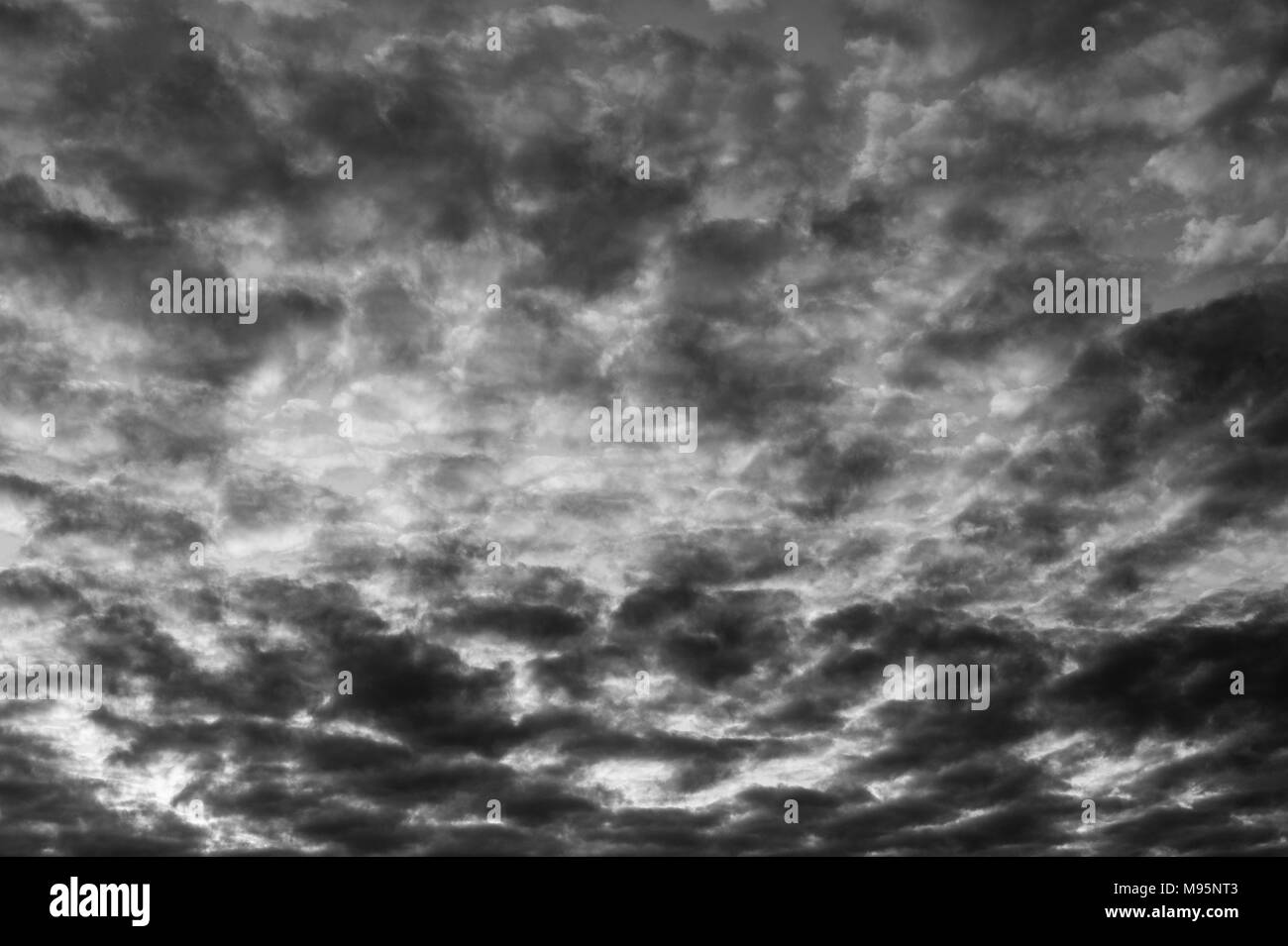 Altocumulus clouds at sunset dramatic sky with nature patterns Stock ...