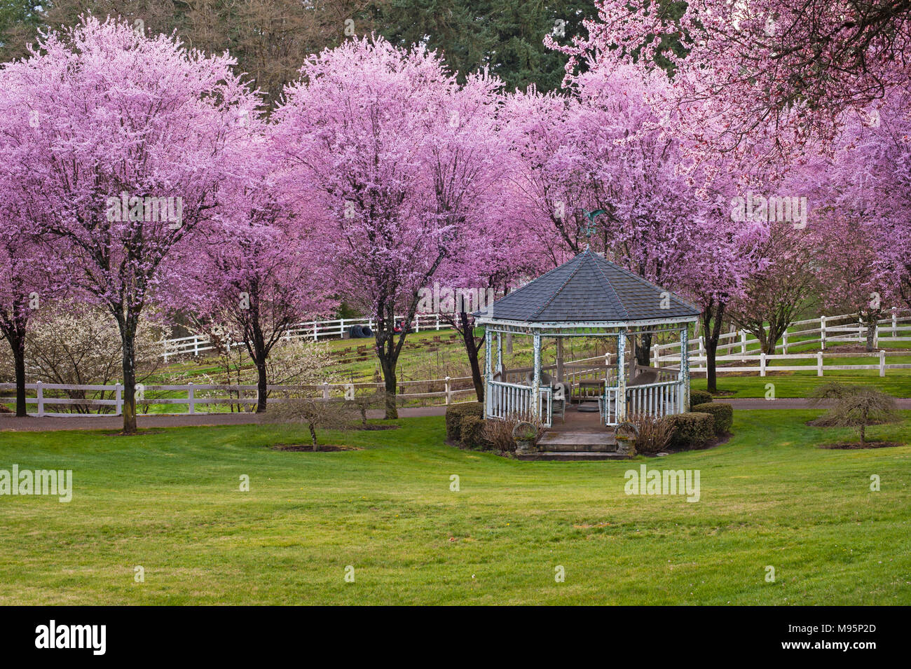 Natured scene hi-res stock photography and images - Alamy