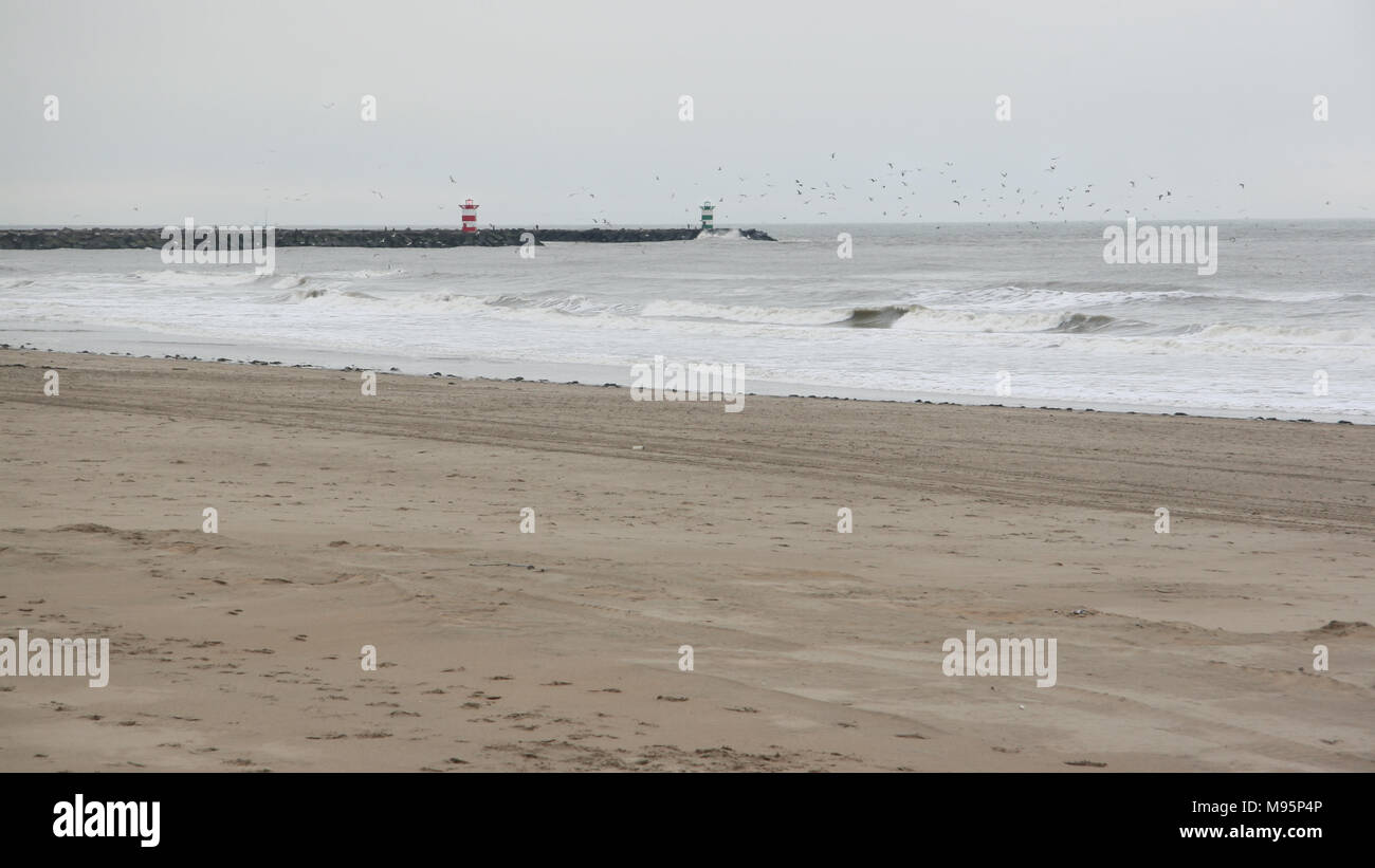Beach at scheveningen in stormy weather hi-res stock photography and ...