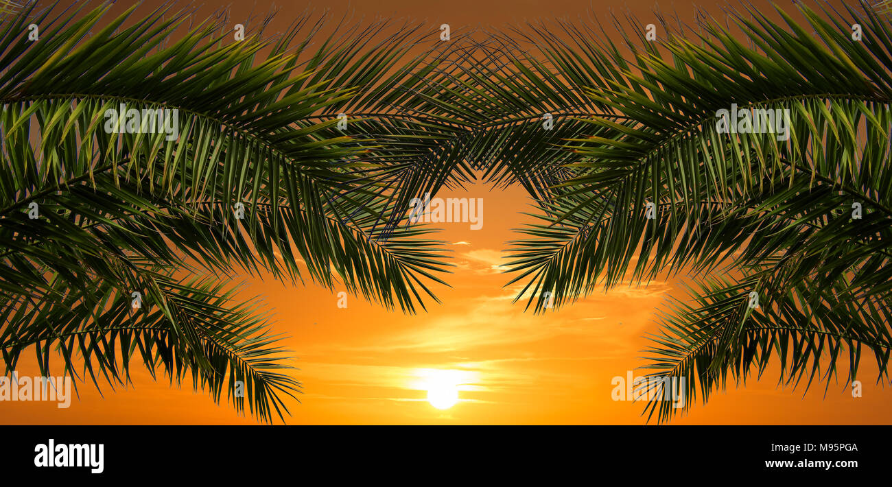 The nice cove sa tuna in Begur, Costa brava, Girona, Catalonia Stock ...