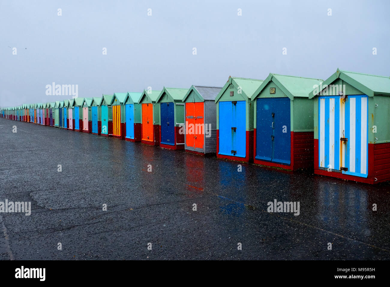 a line of 40 Beach huts with different multicoloured doors on a ...