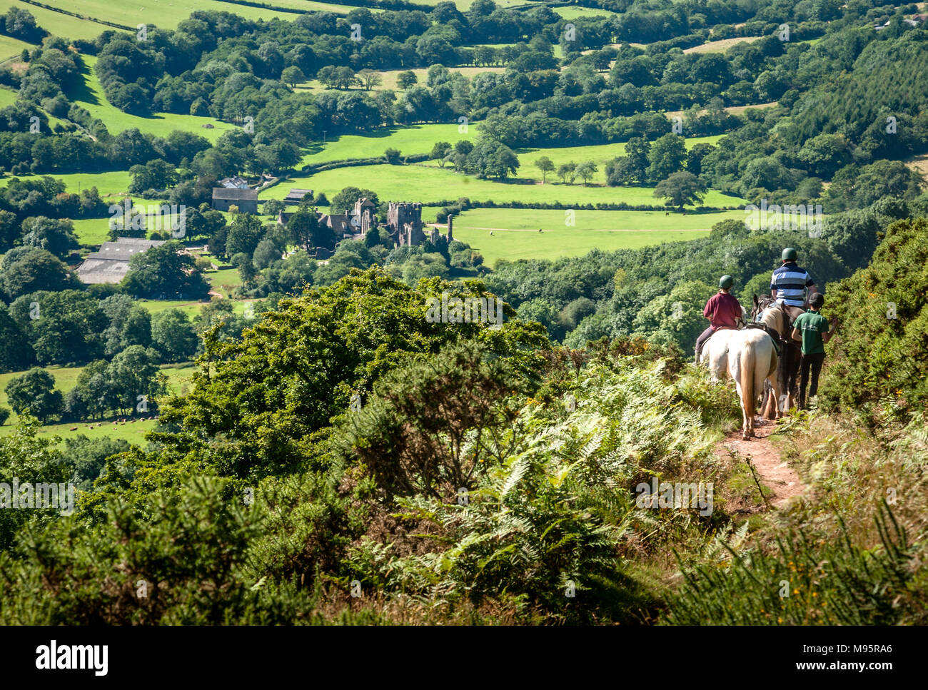 Priory park horse hi-res stock photography and images - Alamy