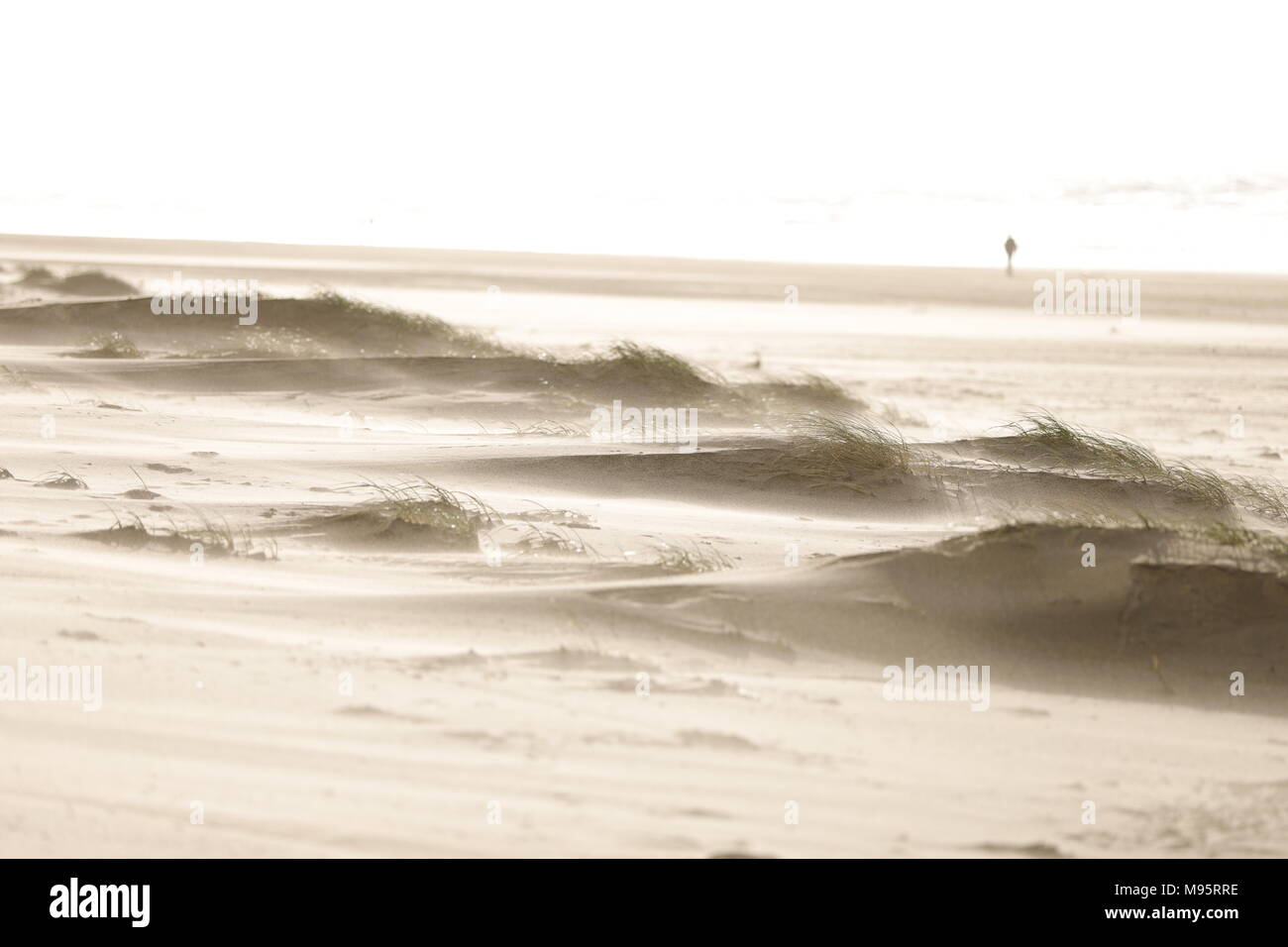 Sandy pattern at the beach Stock Photo - Alamy