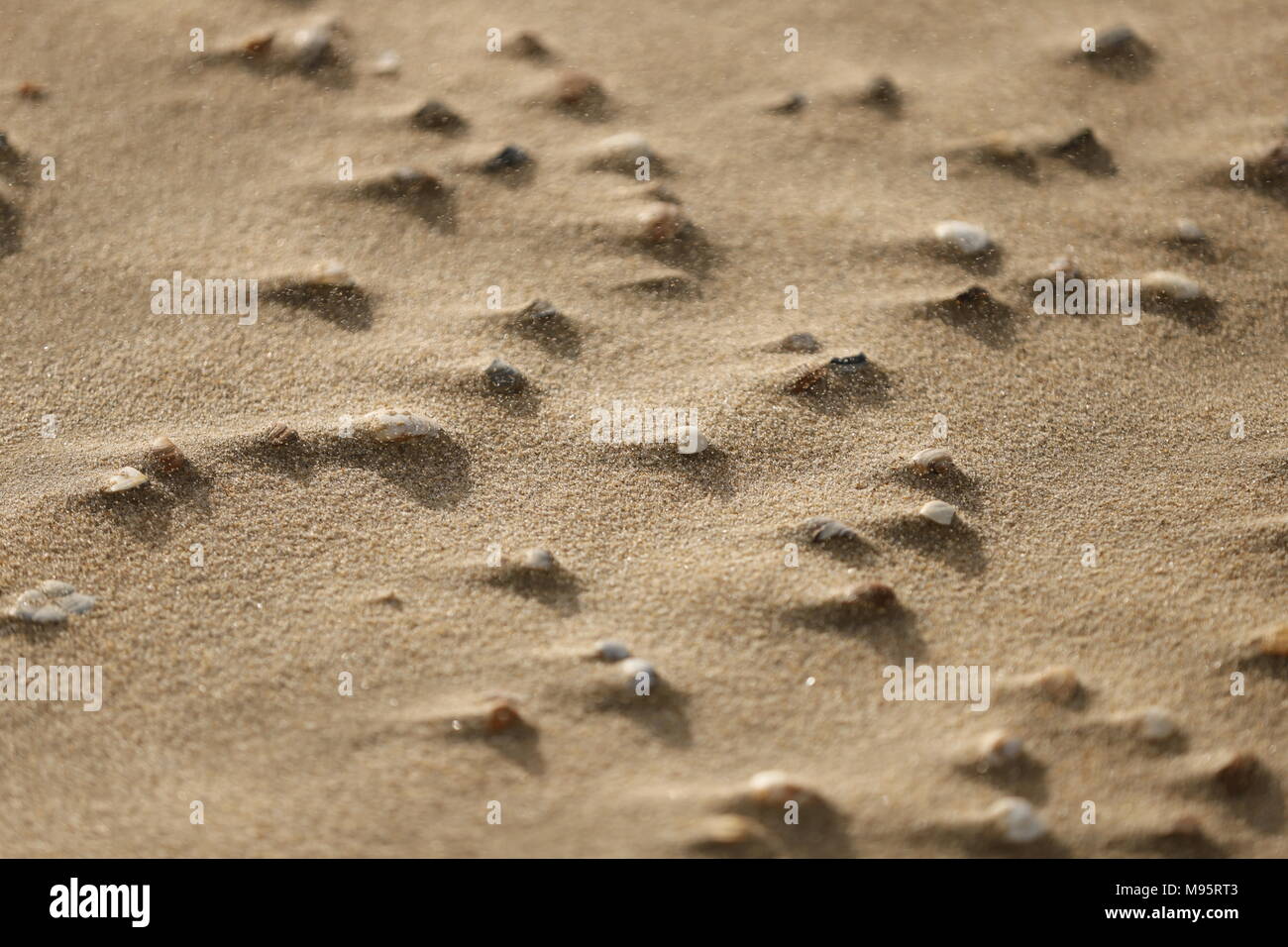 Sandy pattern at the beach Stock Photo - Alamy