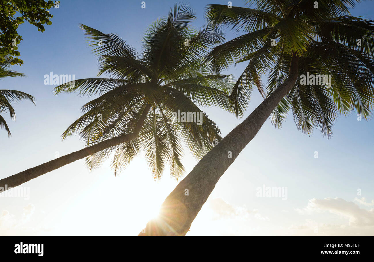 Desert_island hi-res stock photography and images - Alamy