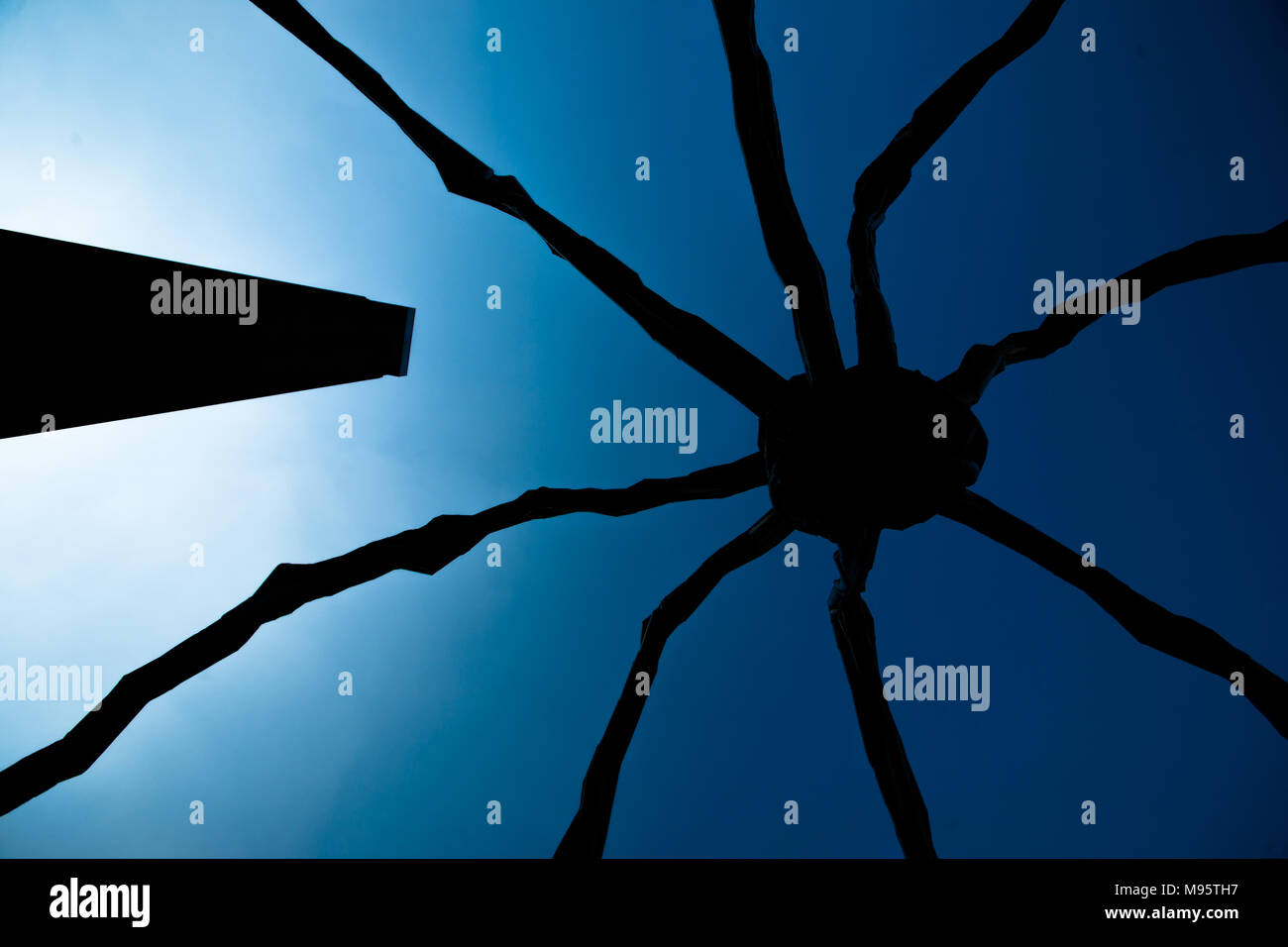 French artist Louise Bourgeois famous spider art piece Maman seated in ...