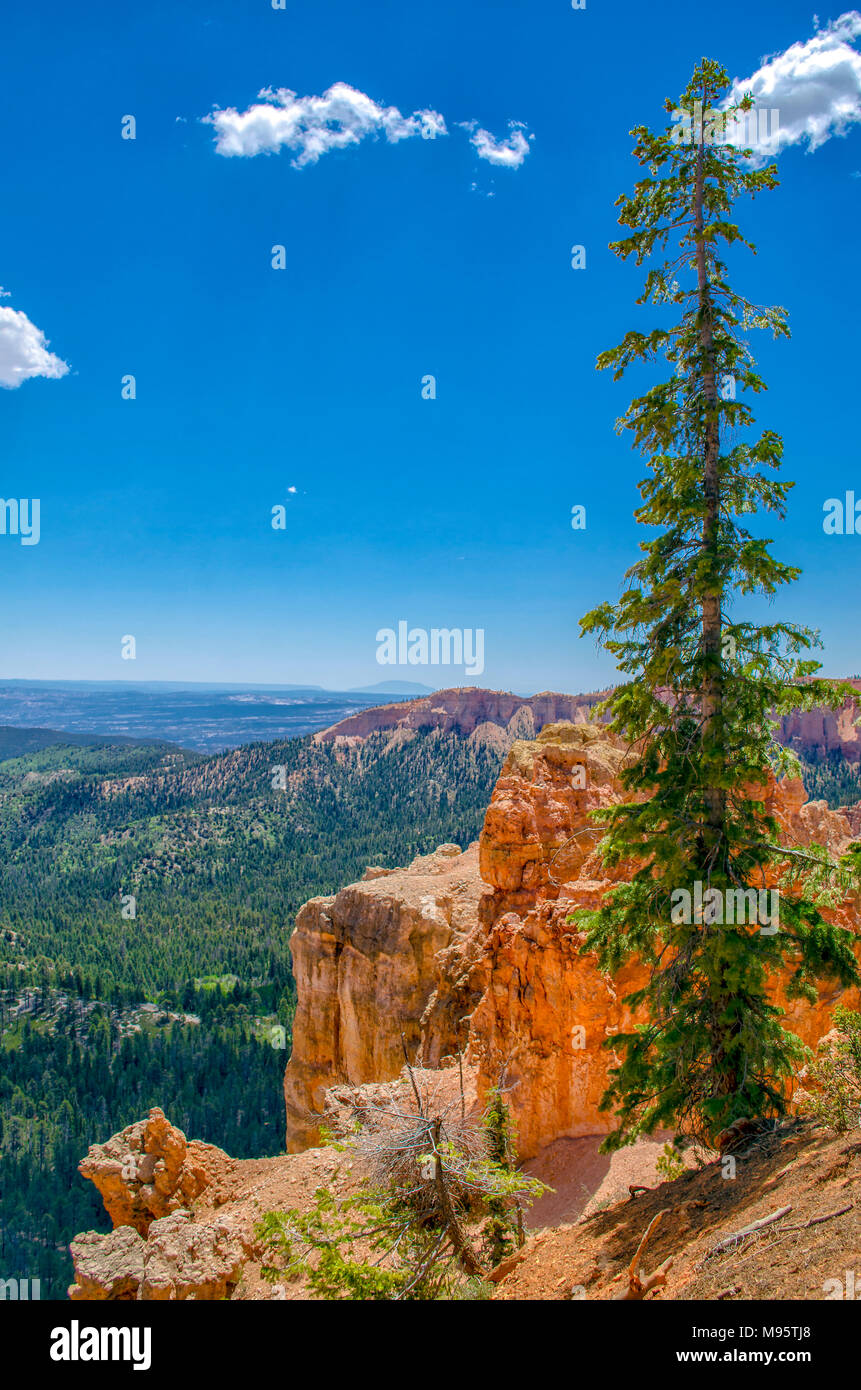 Tall natural landscapes hi-res stock photography and images - Alamy