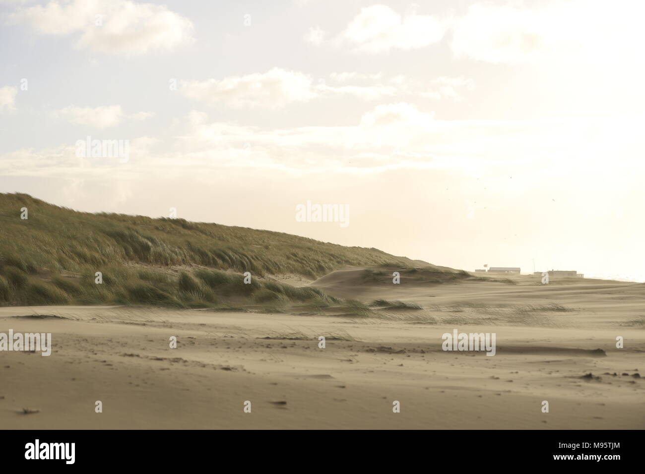 Dunes at the seaside Stock Photo - Alamy
