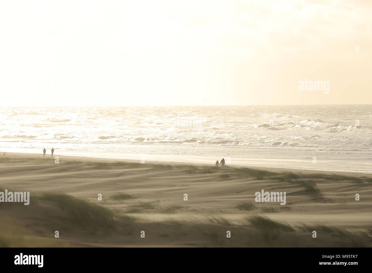 Golden sunlight at the beach Stock Photo - Alamy