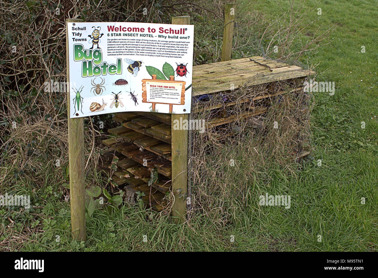 Insect habitat hi-res stock photography and images - Alamy