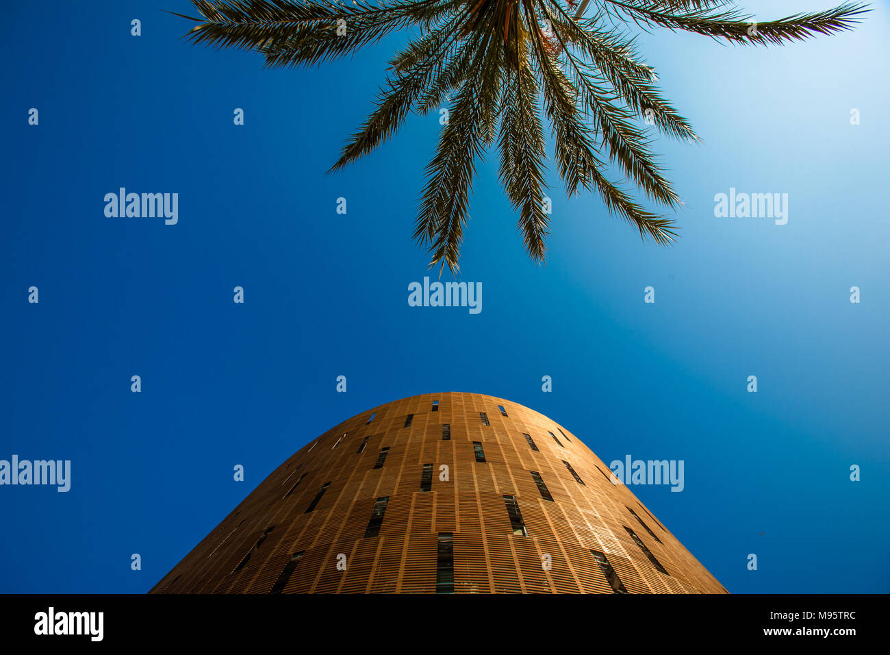 An image of a modern building and a palm tree along a Spanish skyline ...