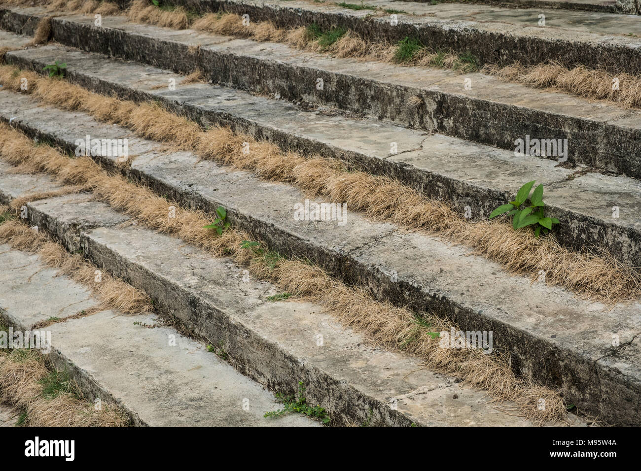 Stone temple stairs hi-res stock photography and images - Alamy