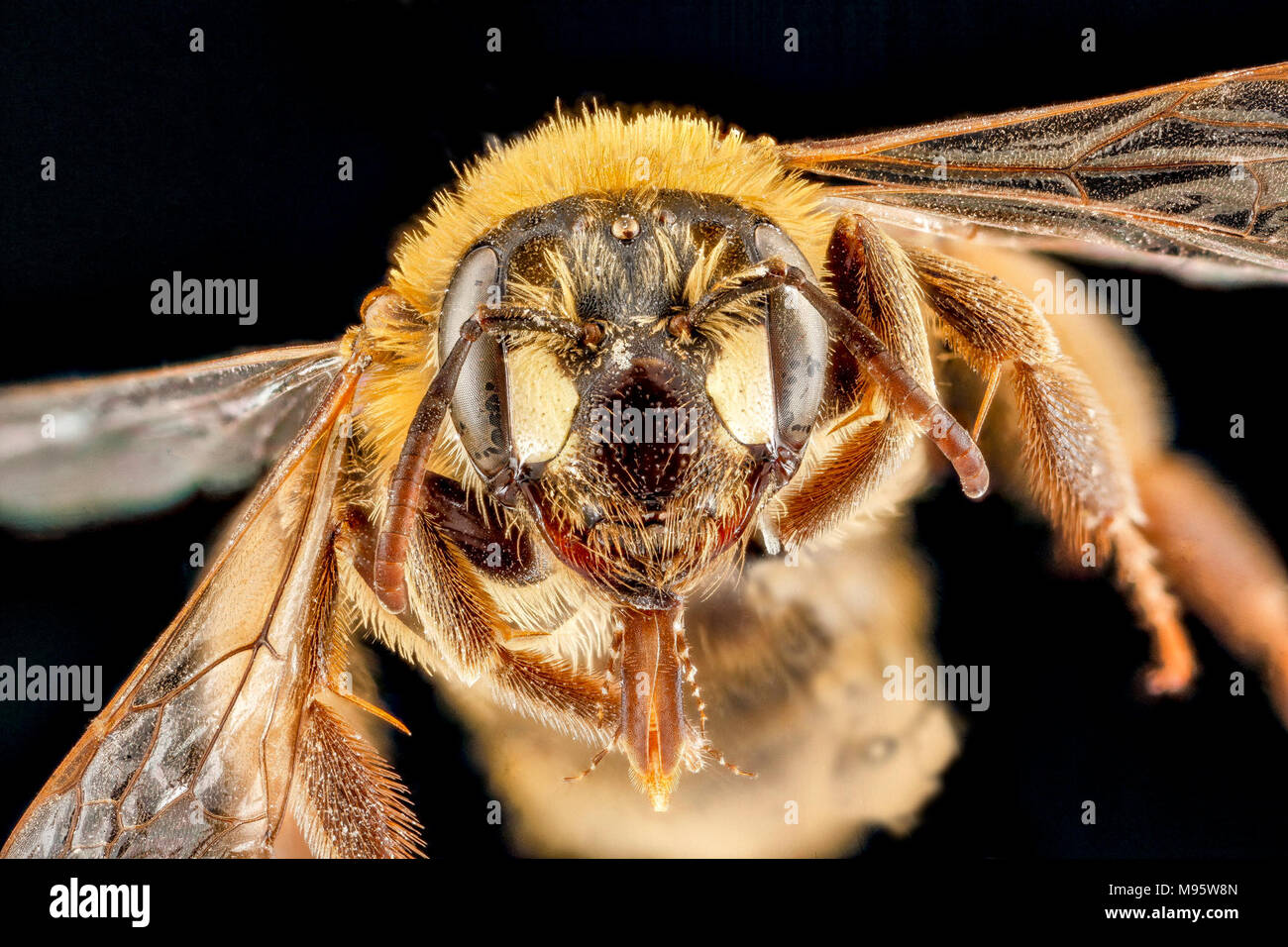 Accepta hi-res stock photography and images - Alamy