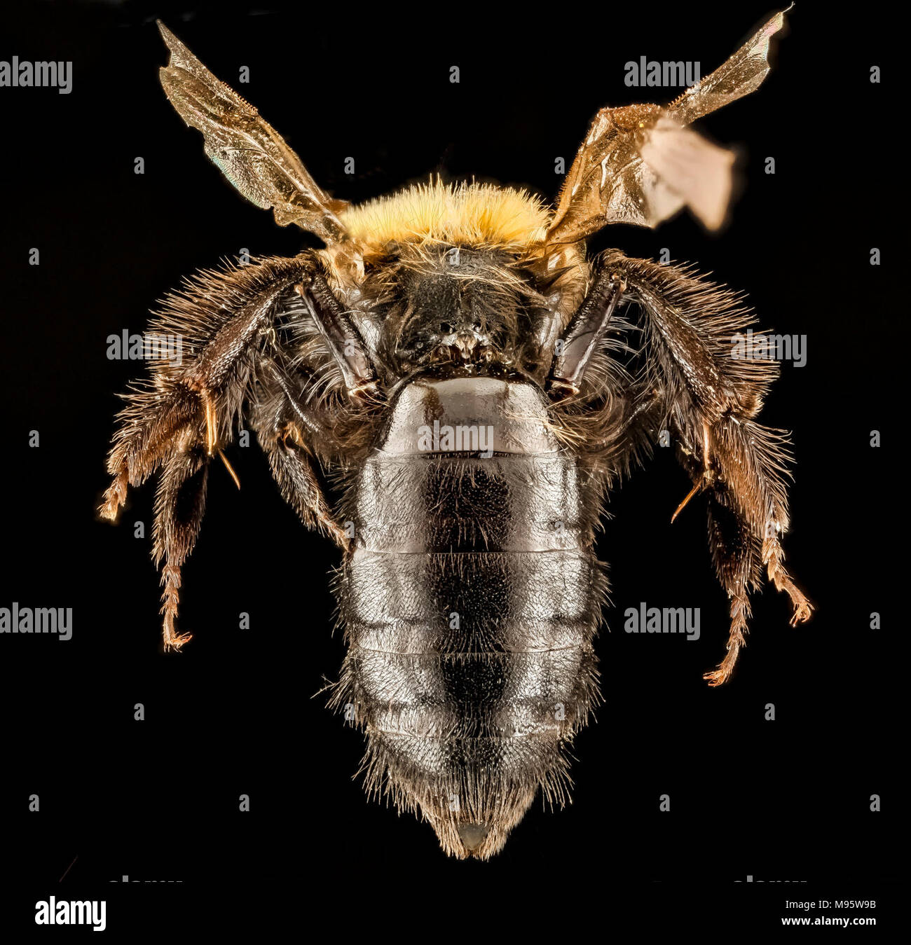 Female hi res hi-res stock photography and images - Alamy