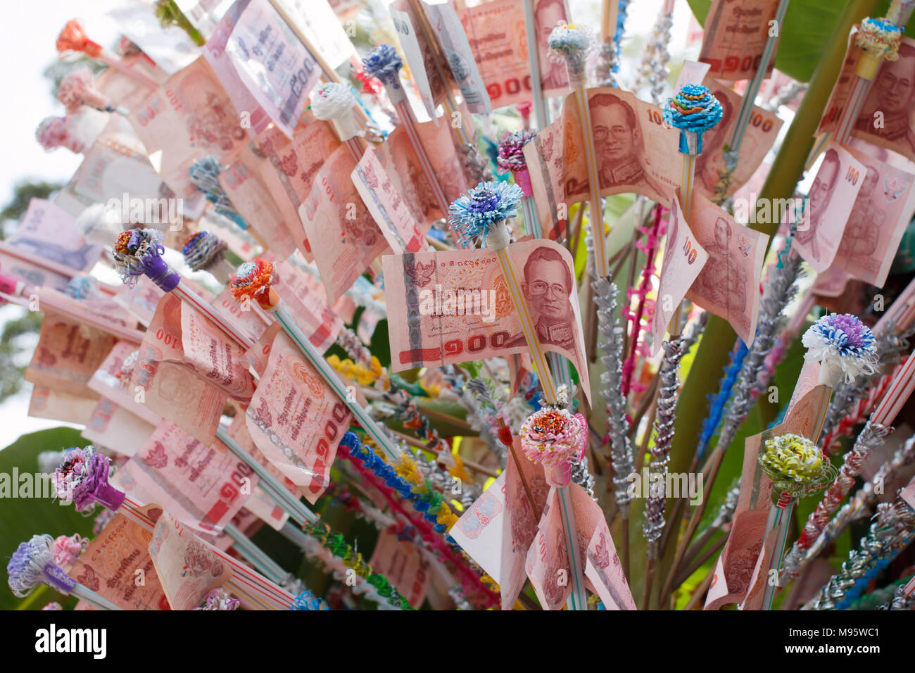 Money for Kathin Ceremony Stock Photo - Alamy