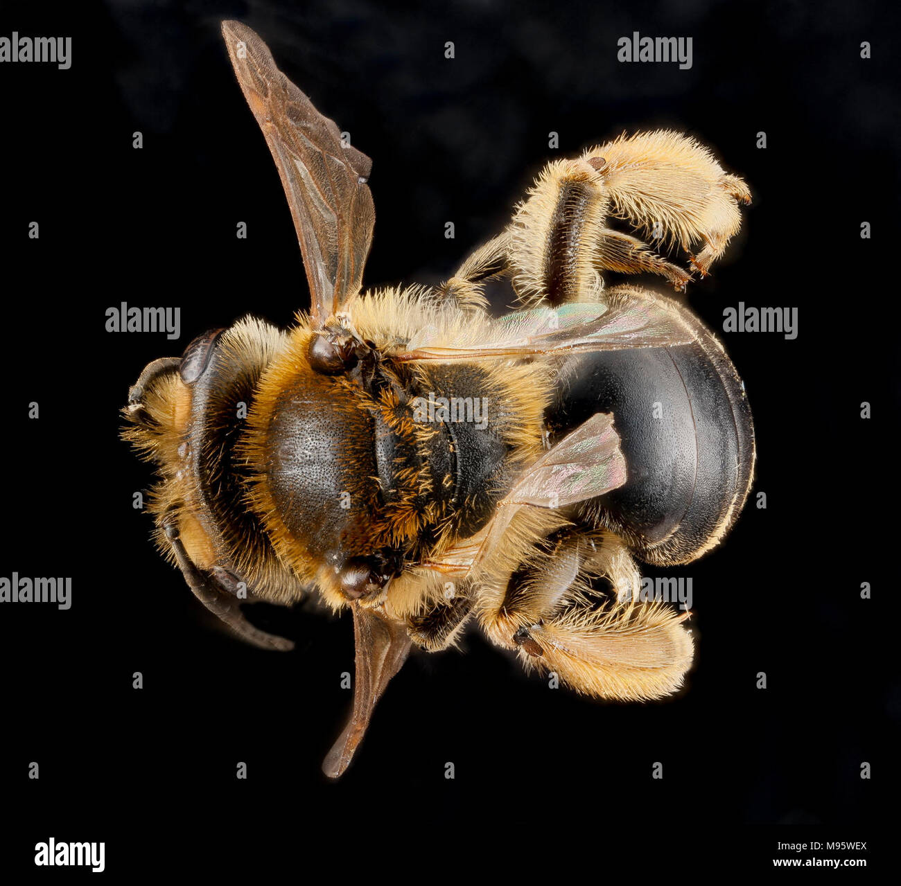 Female hi res hi-res stock photography and images - Alamy