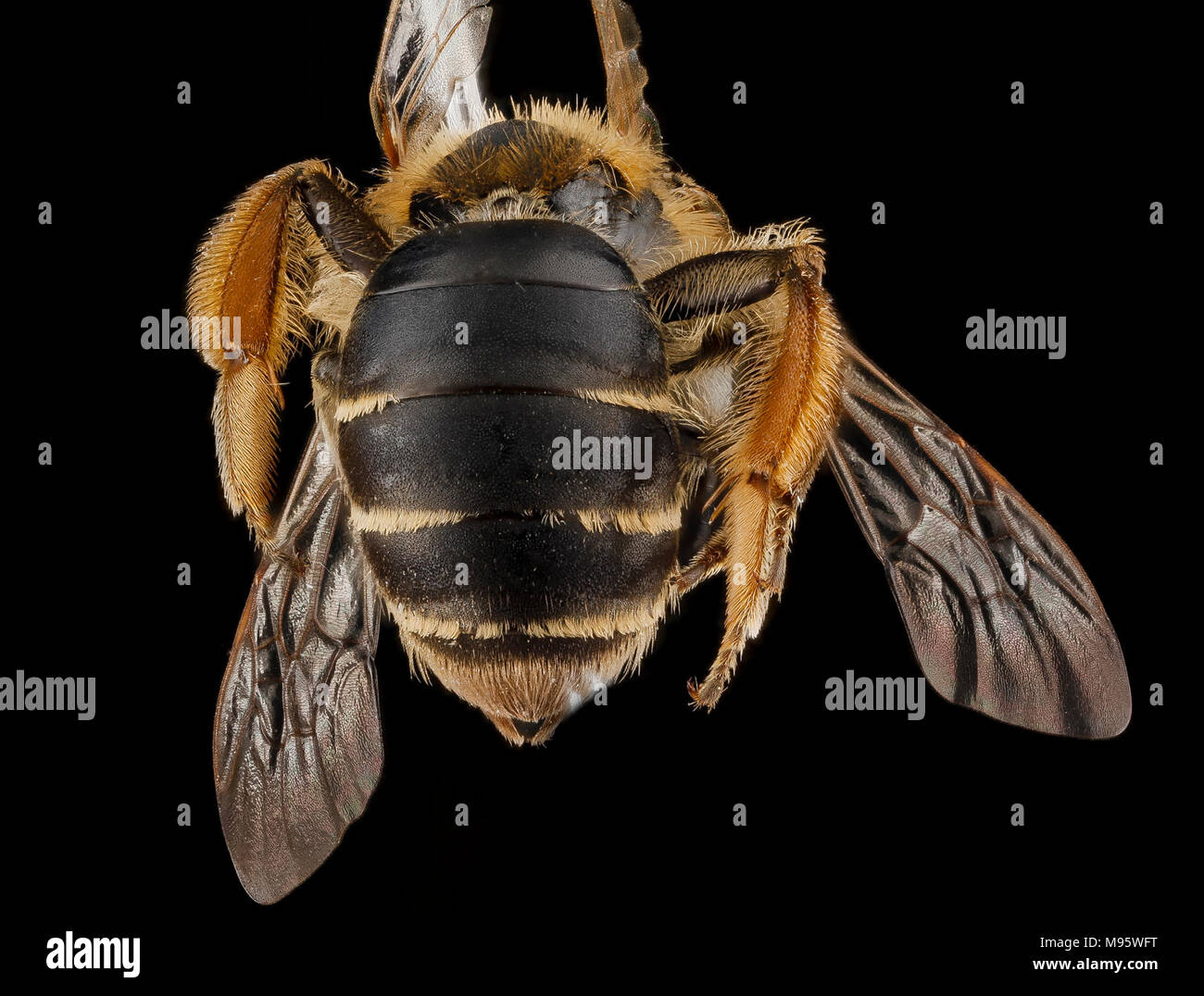 Female hi res hi-res stock photography and images - Alamy