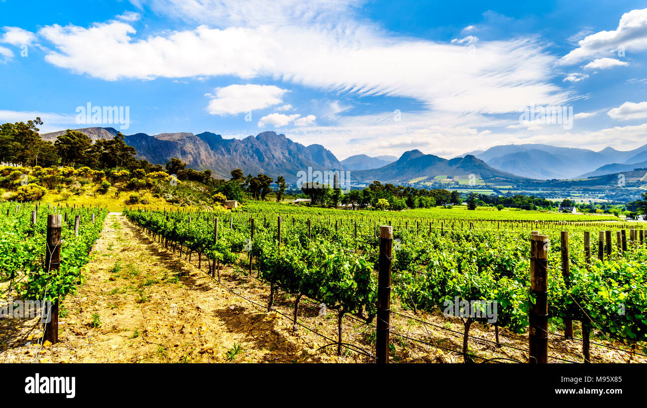 Wemmershoek valley hi-res stock photography and images - Alamy