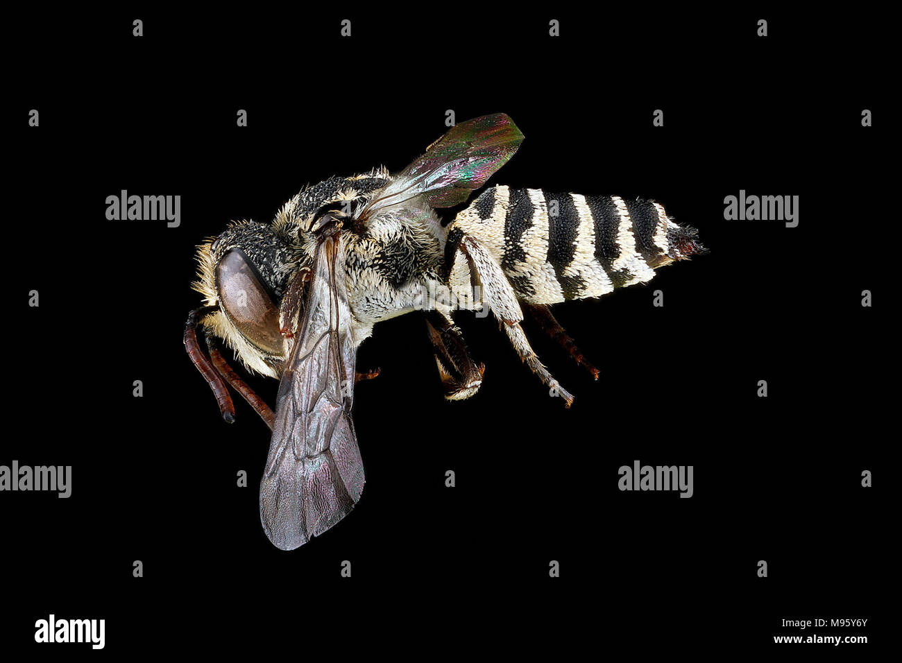 Left hi res hi-res stock photography and images - Alamy