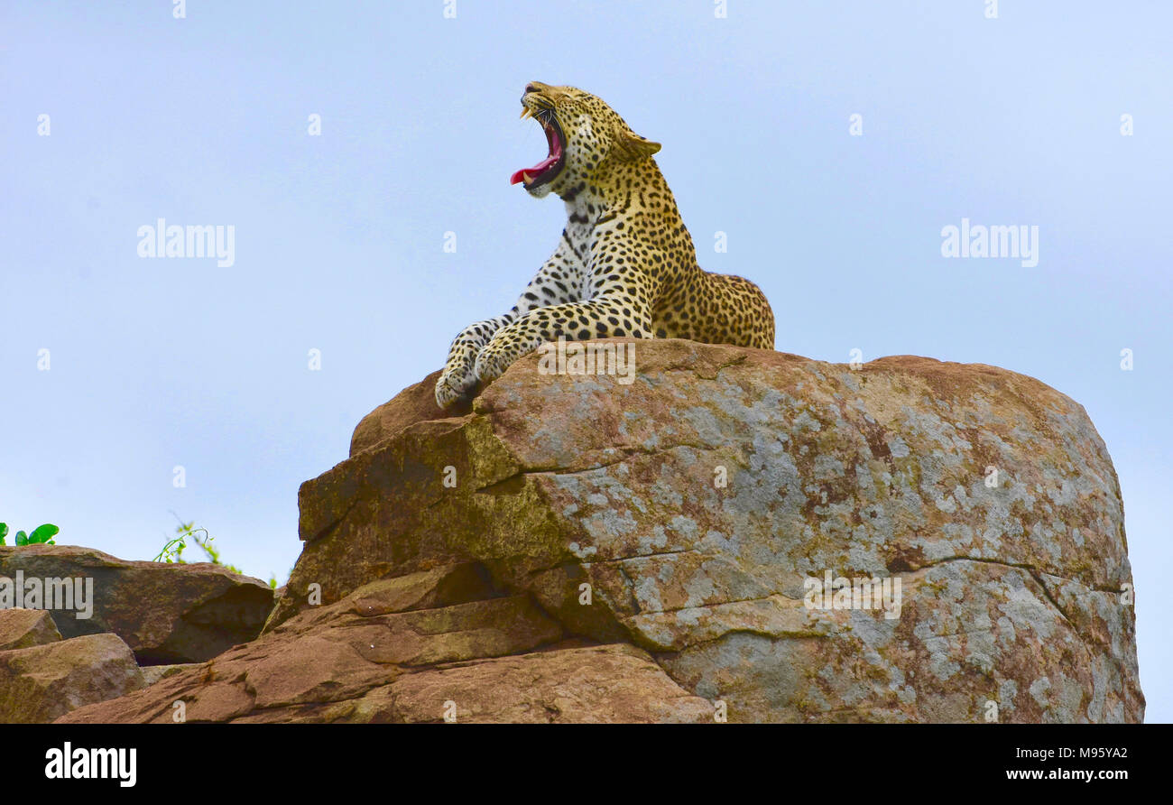 South Africa is a popular tourist destination for its blend of true ...