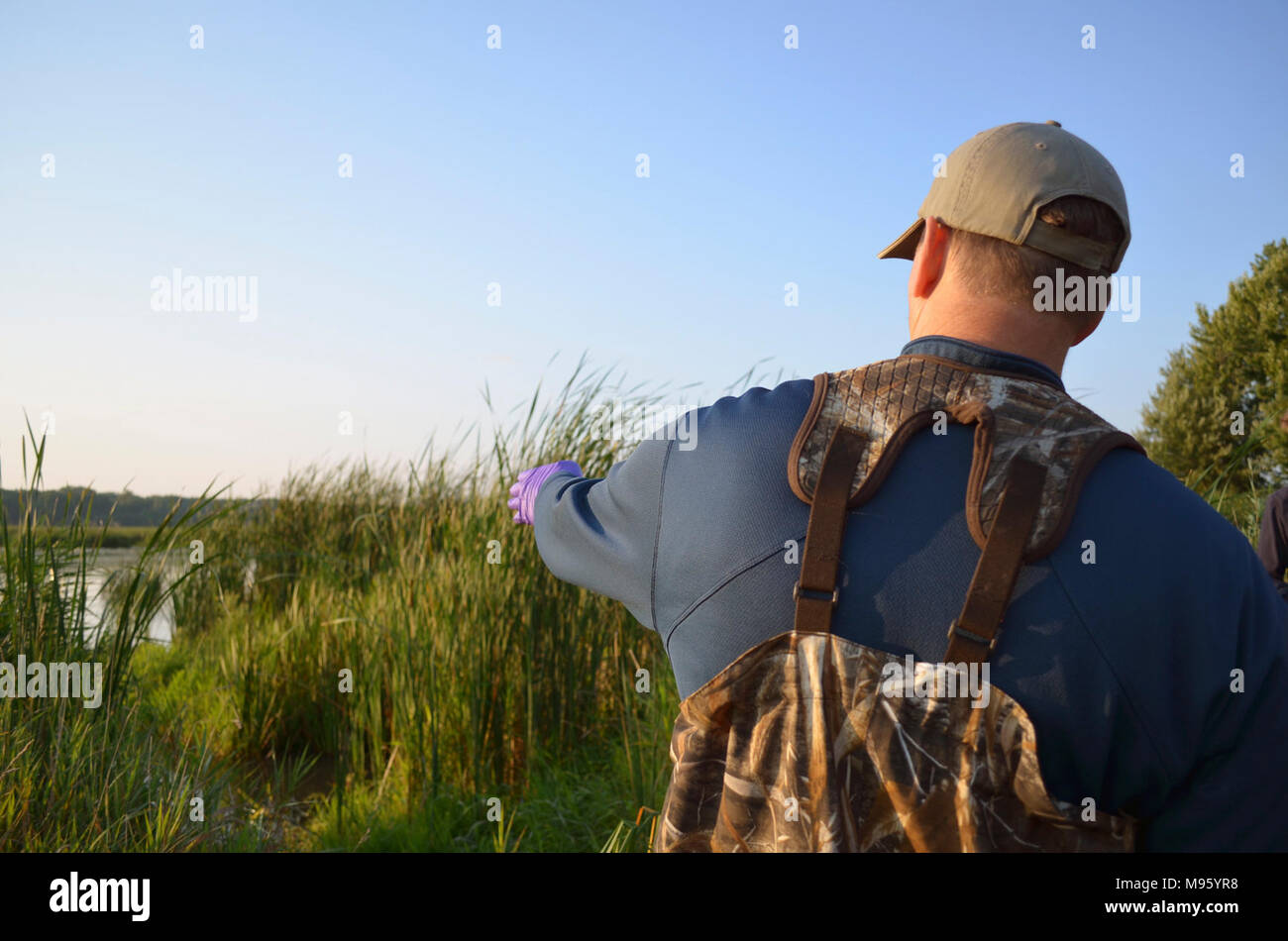 Duck banding hi-res stock photography and images - Alamy