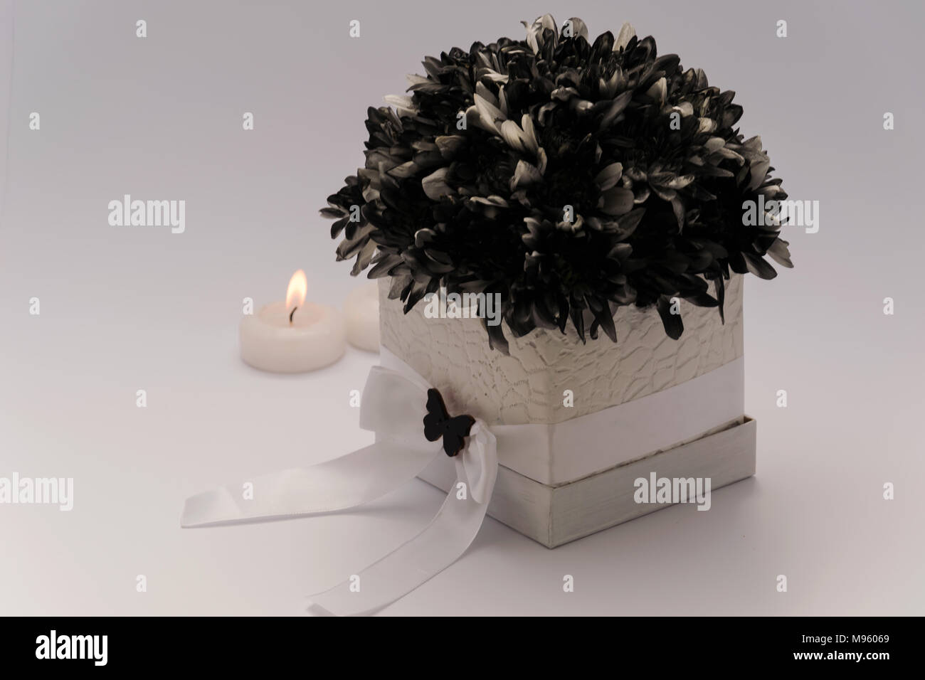 Beautiful congratulations on wedding day hi-res stock photography and ...