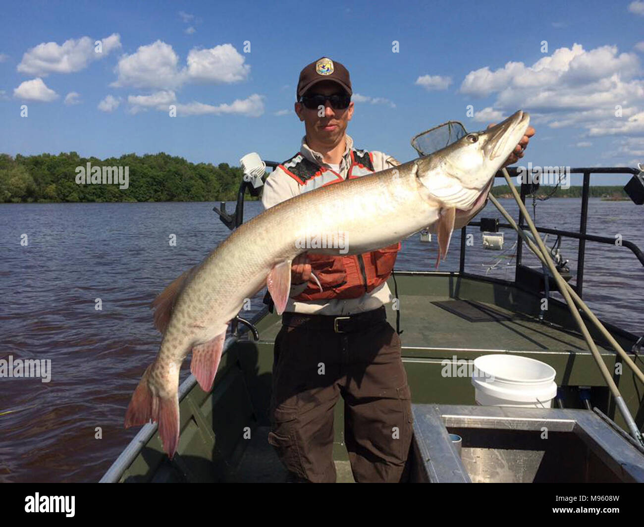 Musky fish hi-res stock photography and images - Alamy
