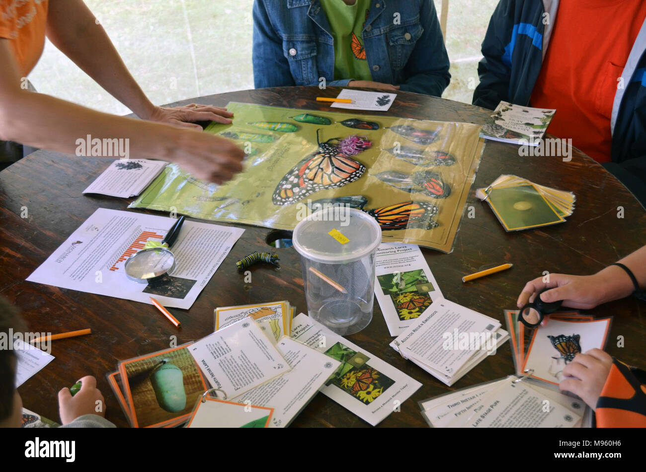 Monarch butterfly festival hi-res stock photography and images - Alamy