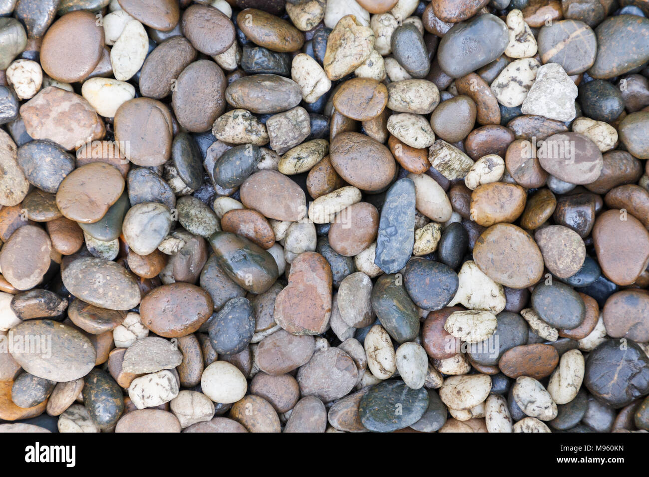 Stone pebbles texture or stone pebbles background. stone pebbles for ...
