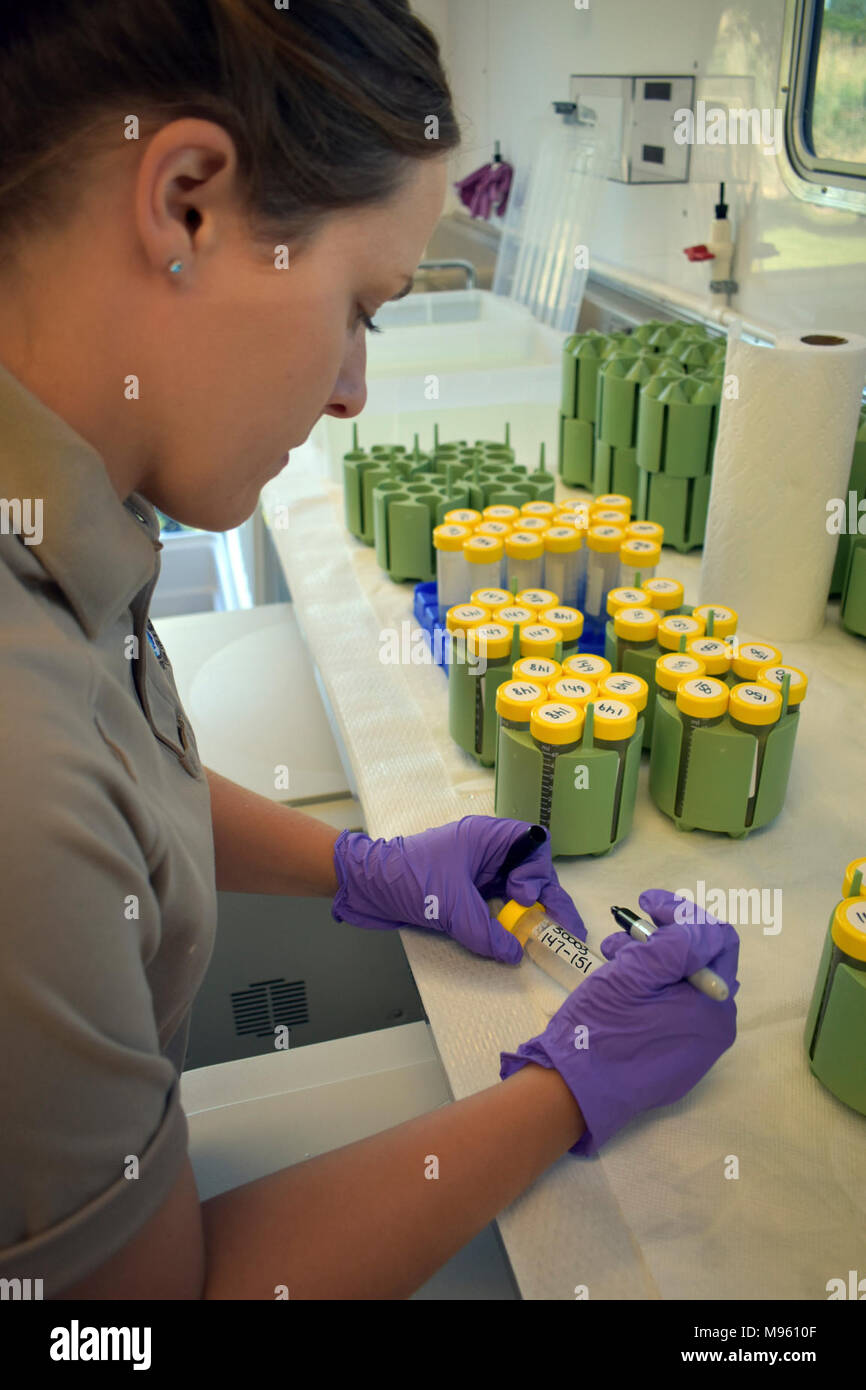 Processing Water Samples Stock Photo - Alamy
