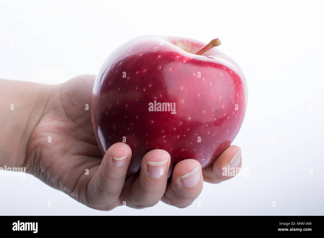 Hand holding a beautiful red apple on a white background Stock Photo ...