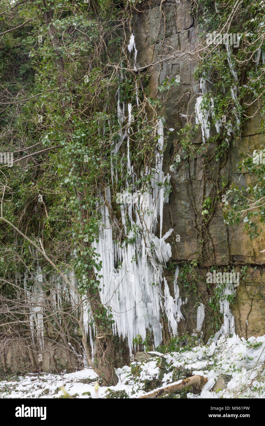 Ivy on rocks hi-res stock photography and images - Alamy