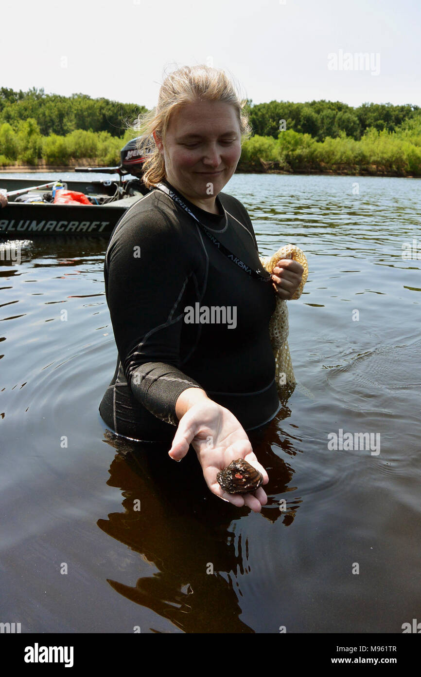 Winged mapleleaf hi-res stock photography and images - Alamy