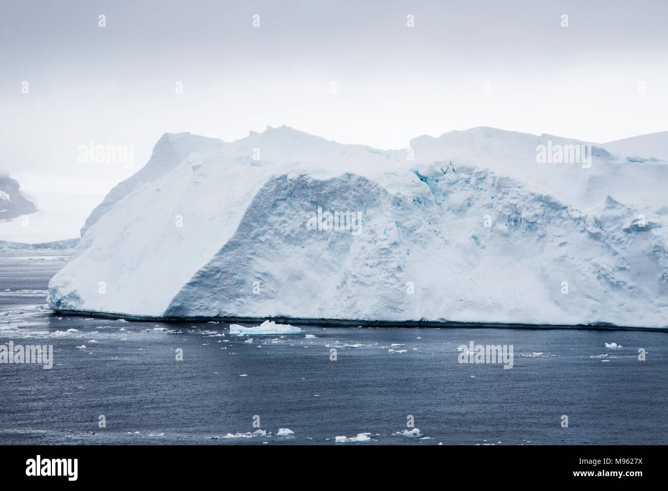 view of iceberg at Hope Bay, Antarctica Stock Photo - Alamy