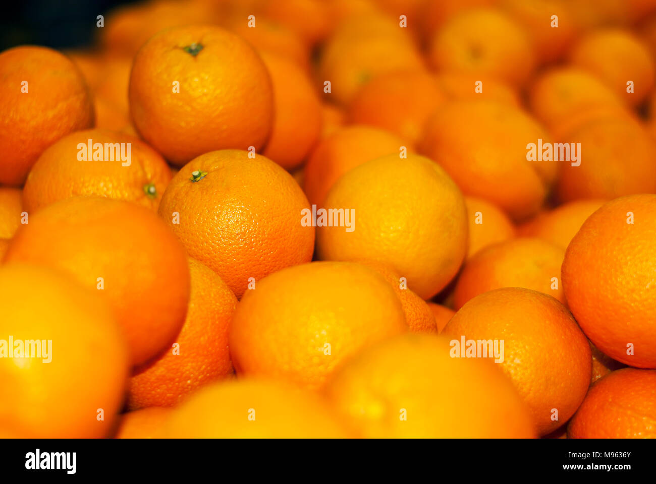 Oranges for export hi-res stock photography and images - Alamy