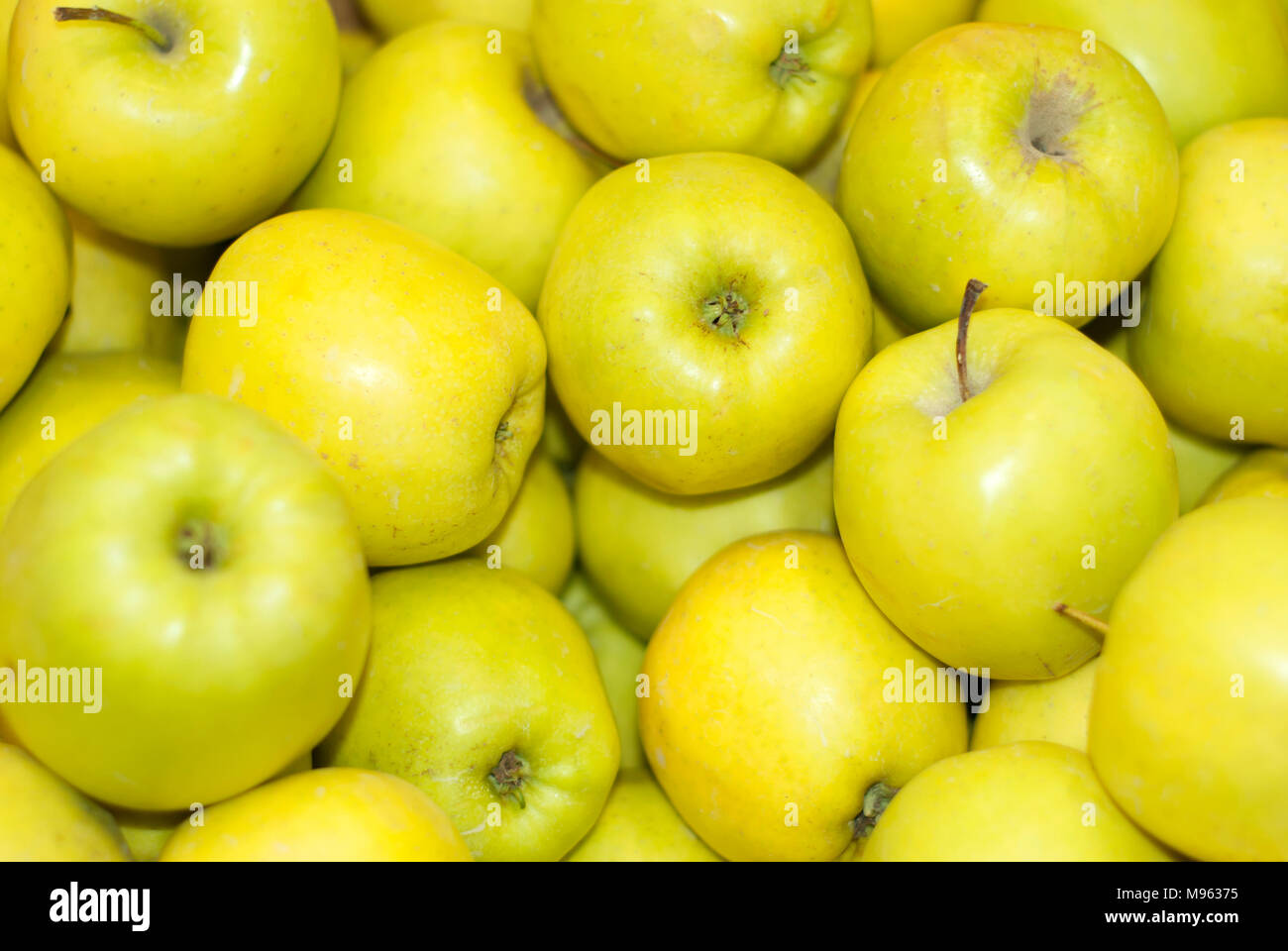Apples for export hi-res stock photography and images - Alamy