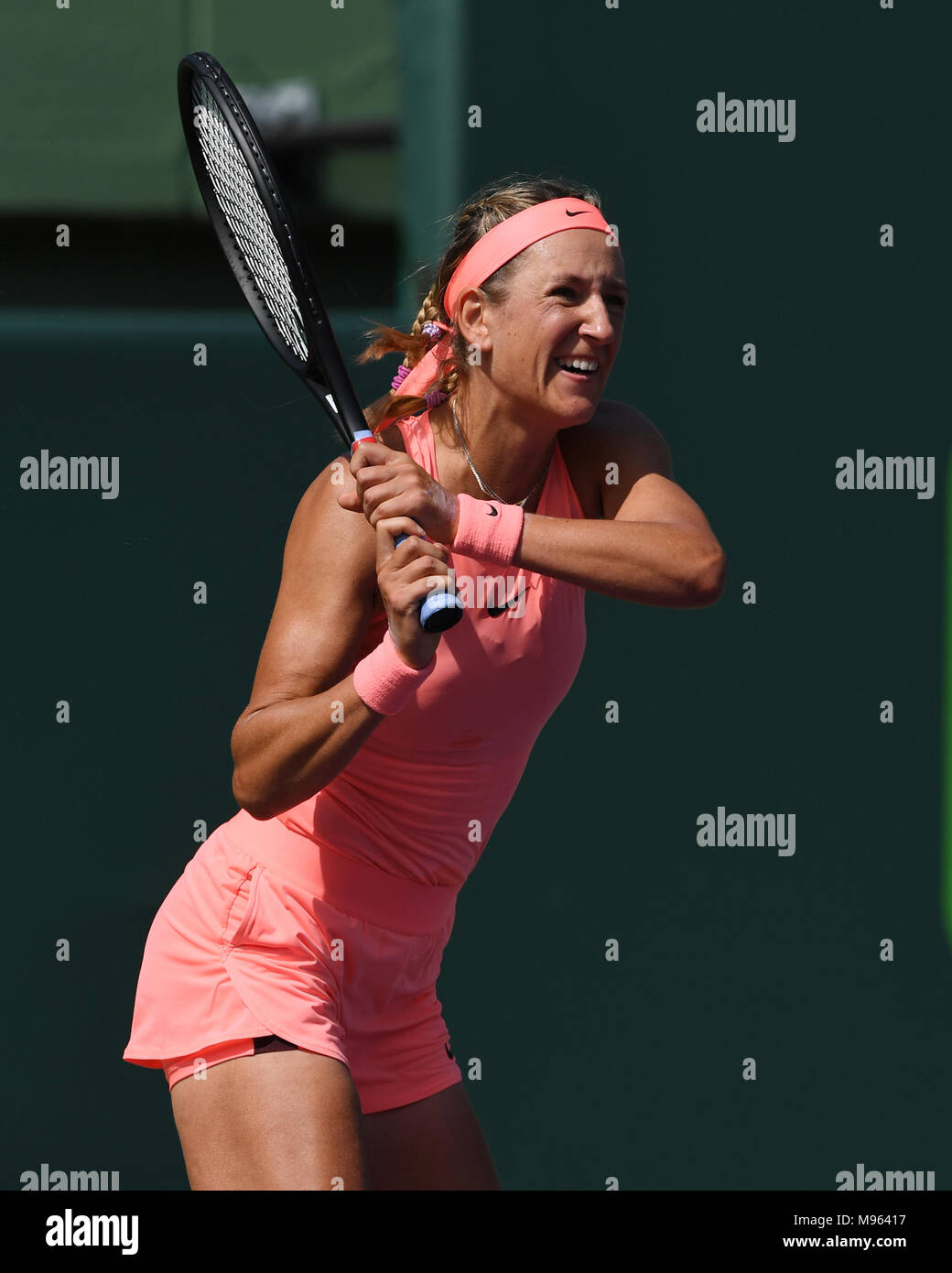 Cici bellis hi-res stock photography and images - Alamy